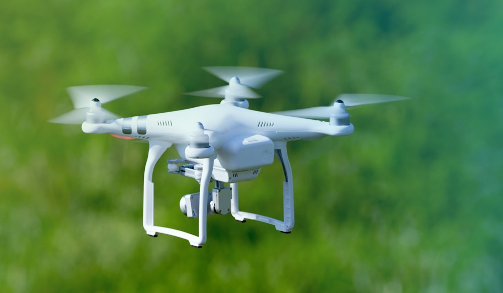 Nature Tech - Powering nature recovery through digital technology