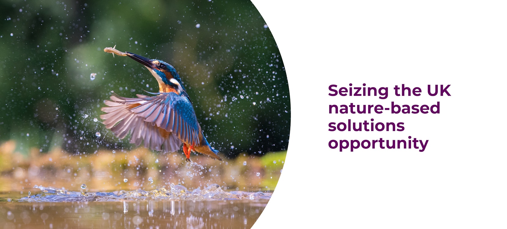 Nature Finance UK 2024 - Ecosystems Knowledge Network