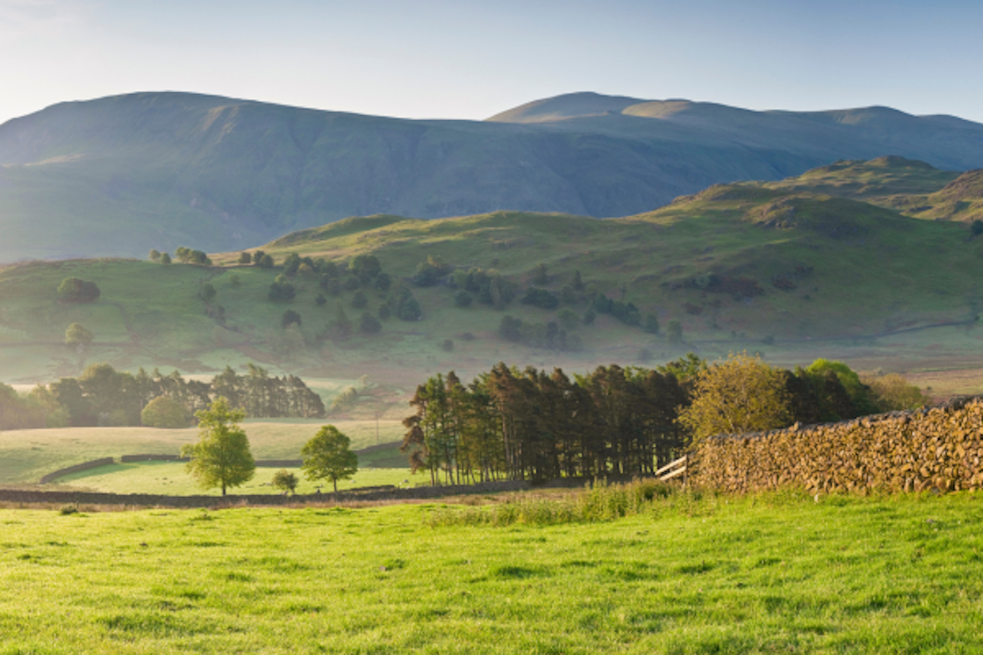 Wellbeing and prosperity for everyone through a healthy natural ...