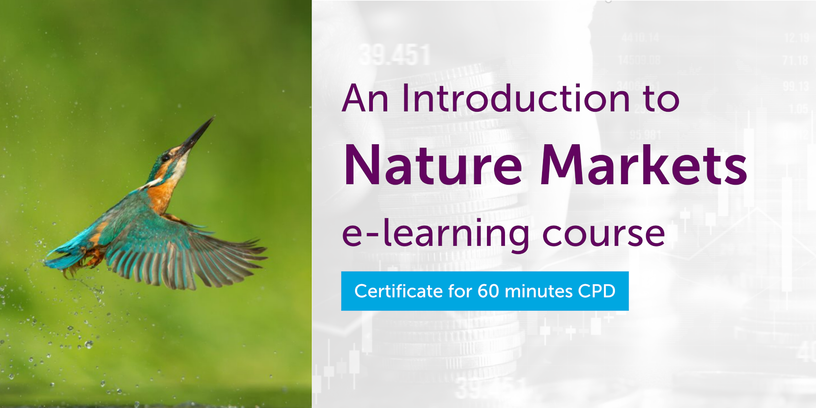 Nature Finance Learning Hub - Ecosystems Knowledge Network