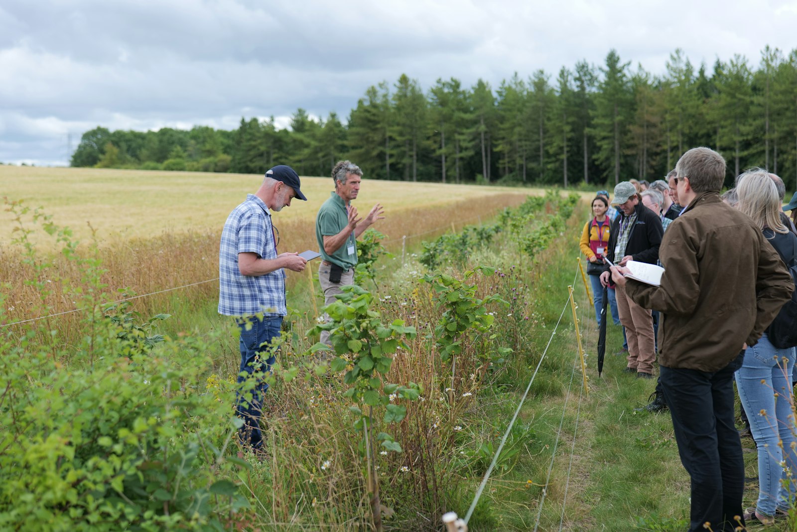 Wellbeing and prosperity for everyone through a healthy natural ...